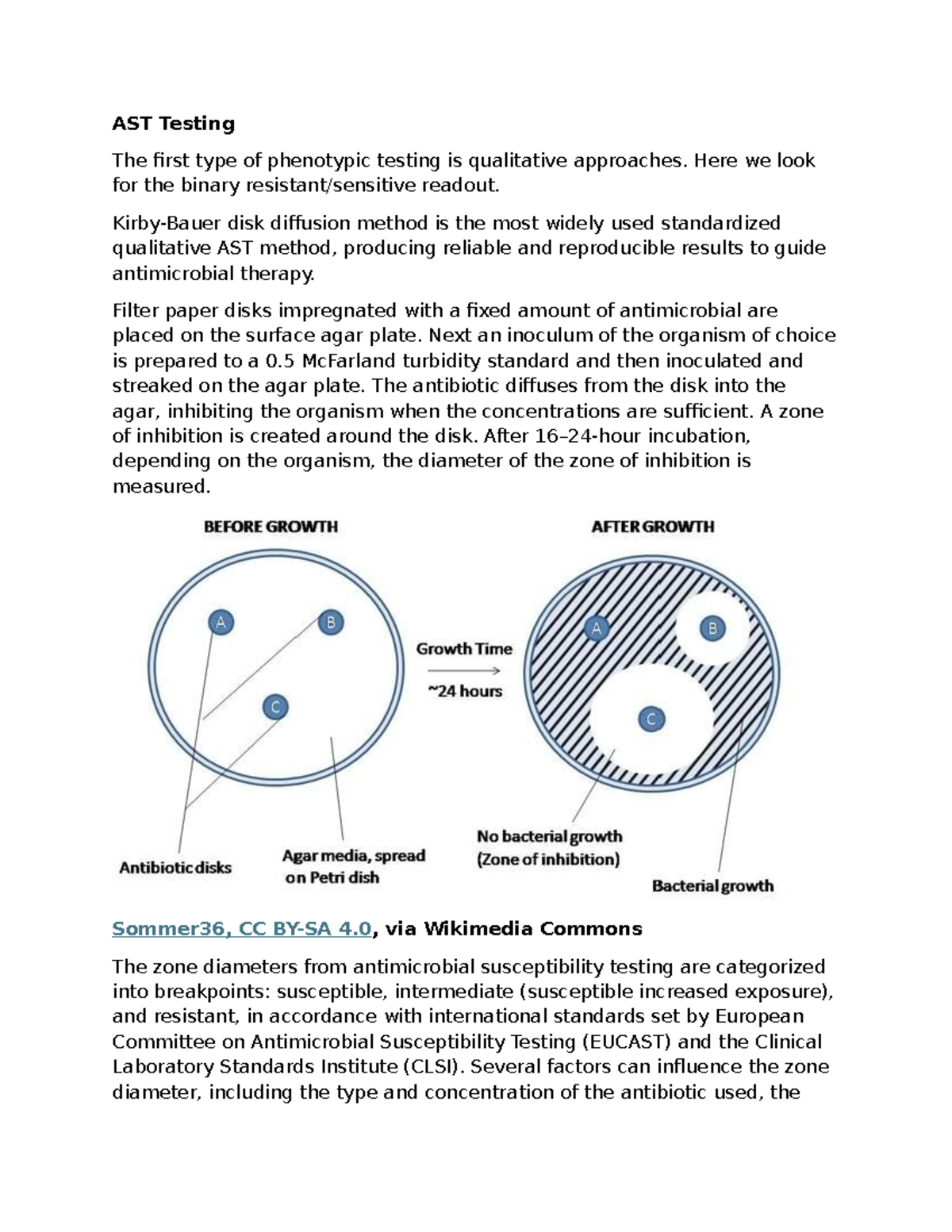 AST Testing: Qualitative and Quantitative Methods Overview - Studocu