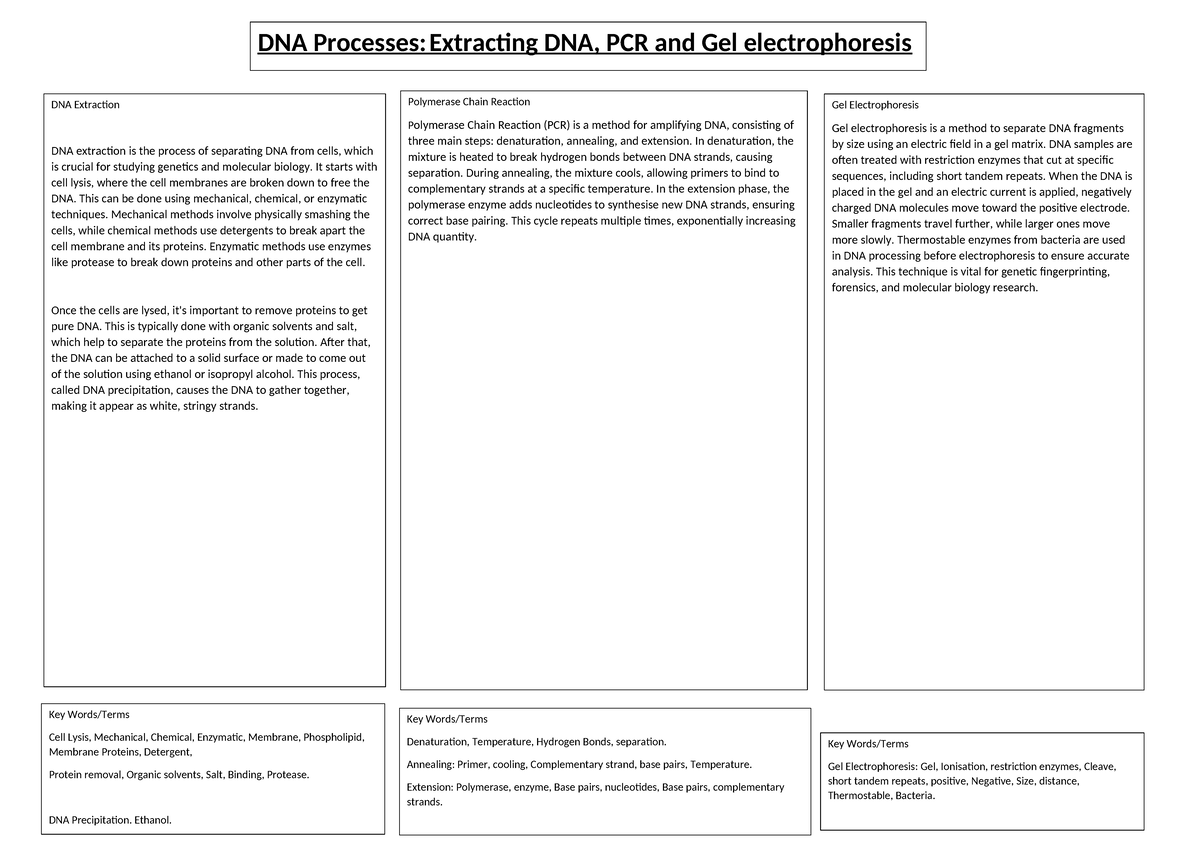 DNA Processes A3: Extraction, PCR, and Gel Electrophoresis Guide - Studocu