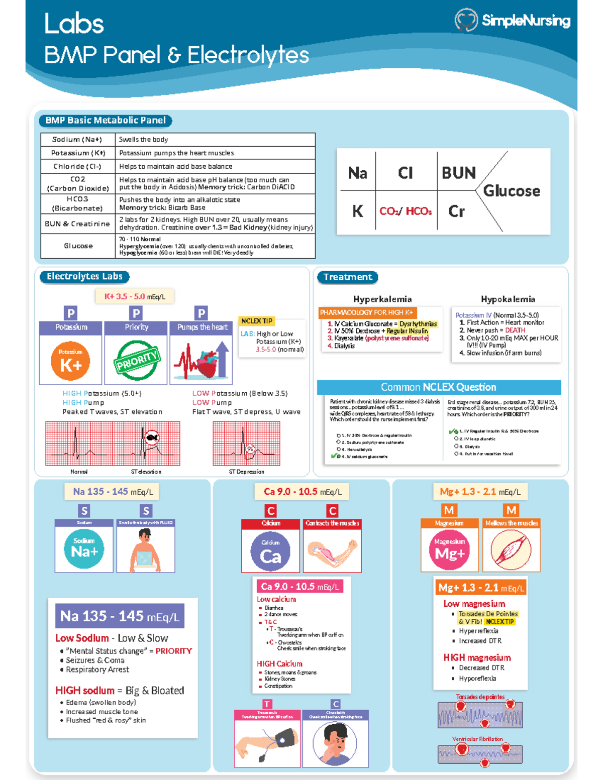 Lab Values Reference for BMP & Cardiac Labs (Nursing NCLEX) - Studocu