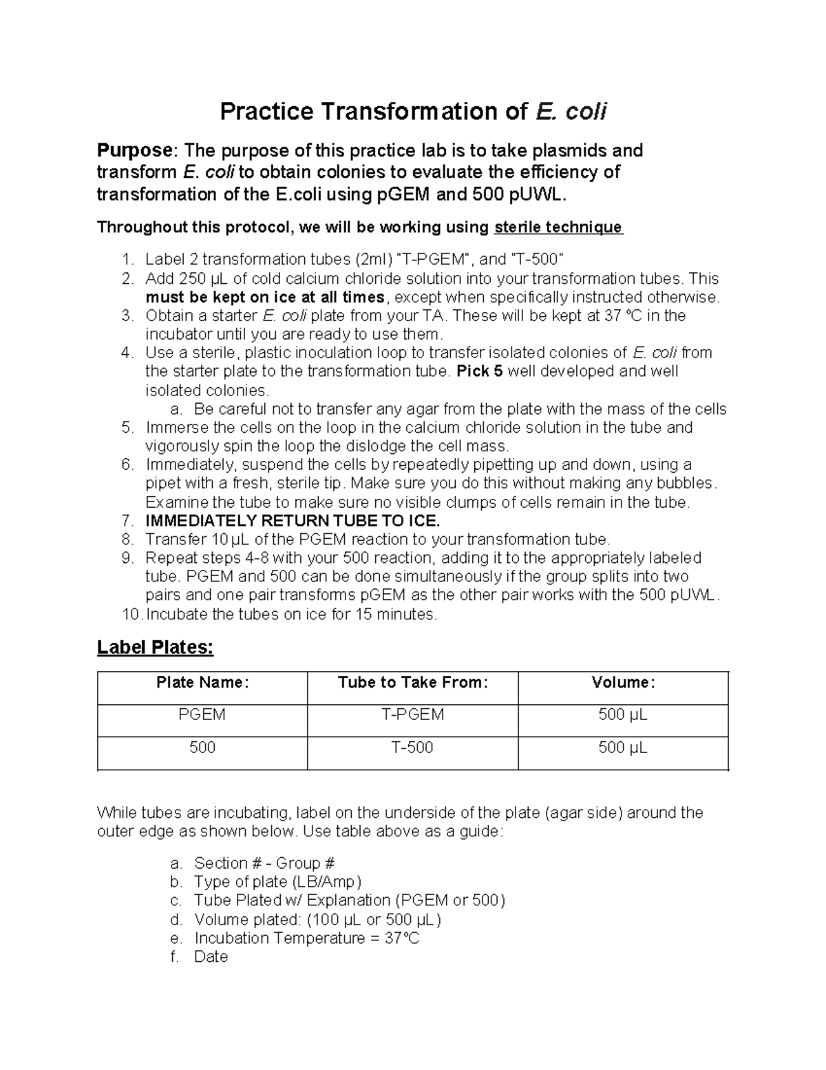 Bio 134 Wk 6 Lab: E. coli Transformation Practice Guide - Studocu