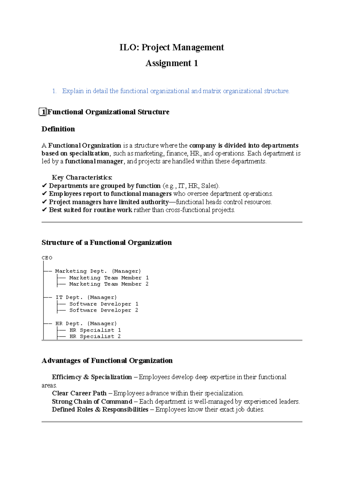 PM Assignment 1 FH 2025: Understanding Organizational Structures ...