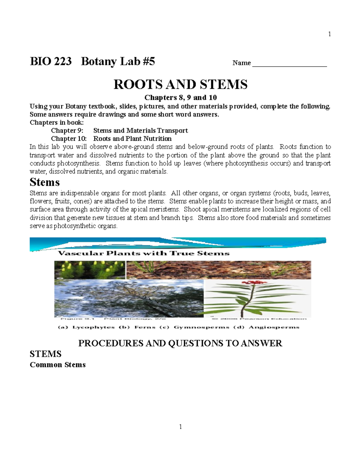 BIO 223 Lab #5: Exploring Roots and Stems in Botany - Studocu