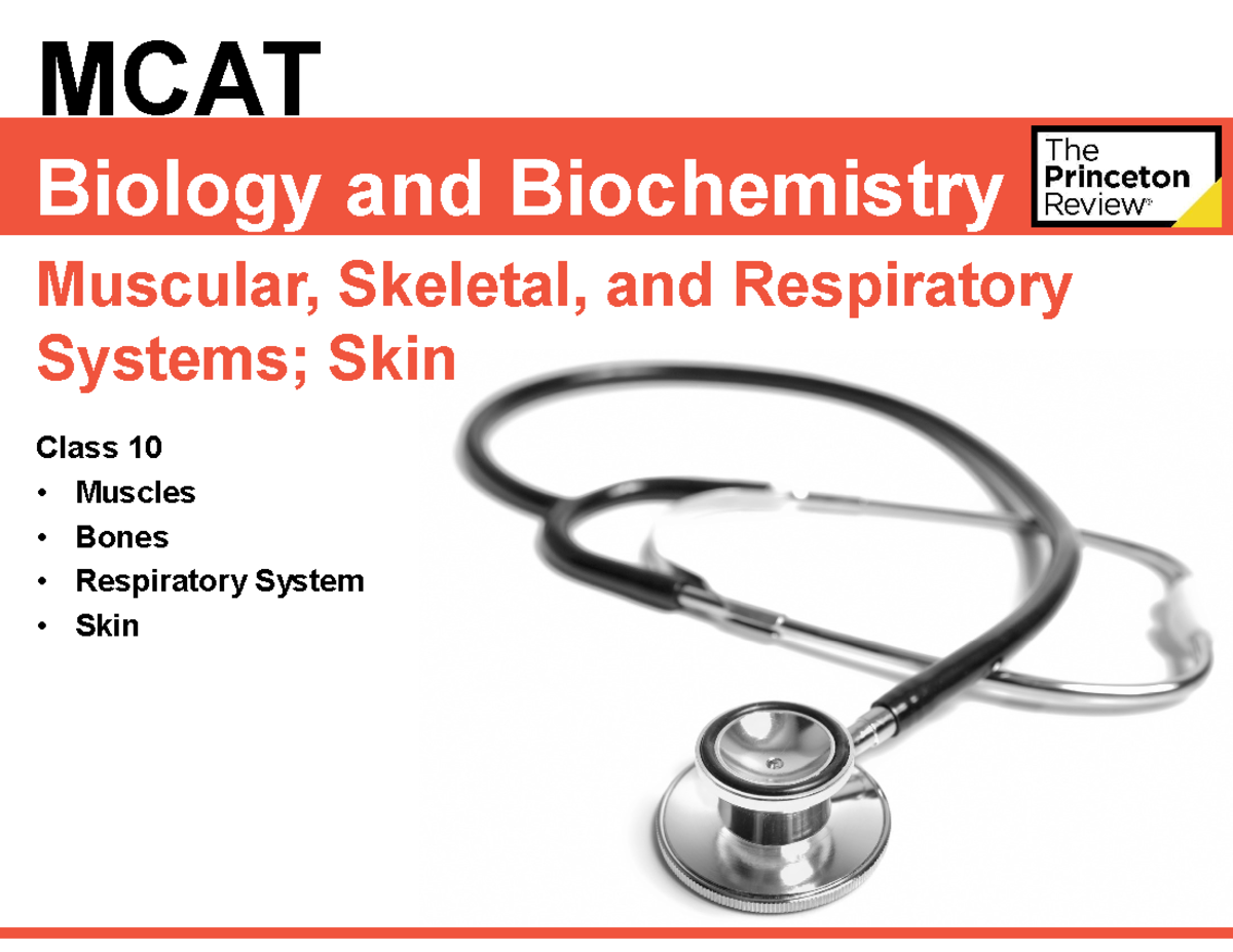 MCAT Biology Study Guide: Muscular, Skeletal & Respiratory Systems ...