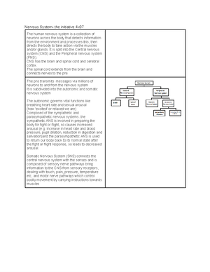 Localisation of Function (8 marker) - Discuss what research has shown ...
