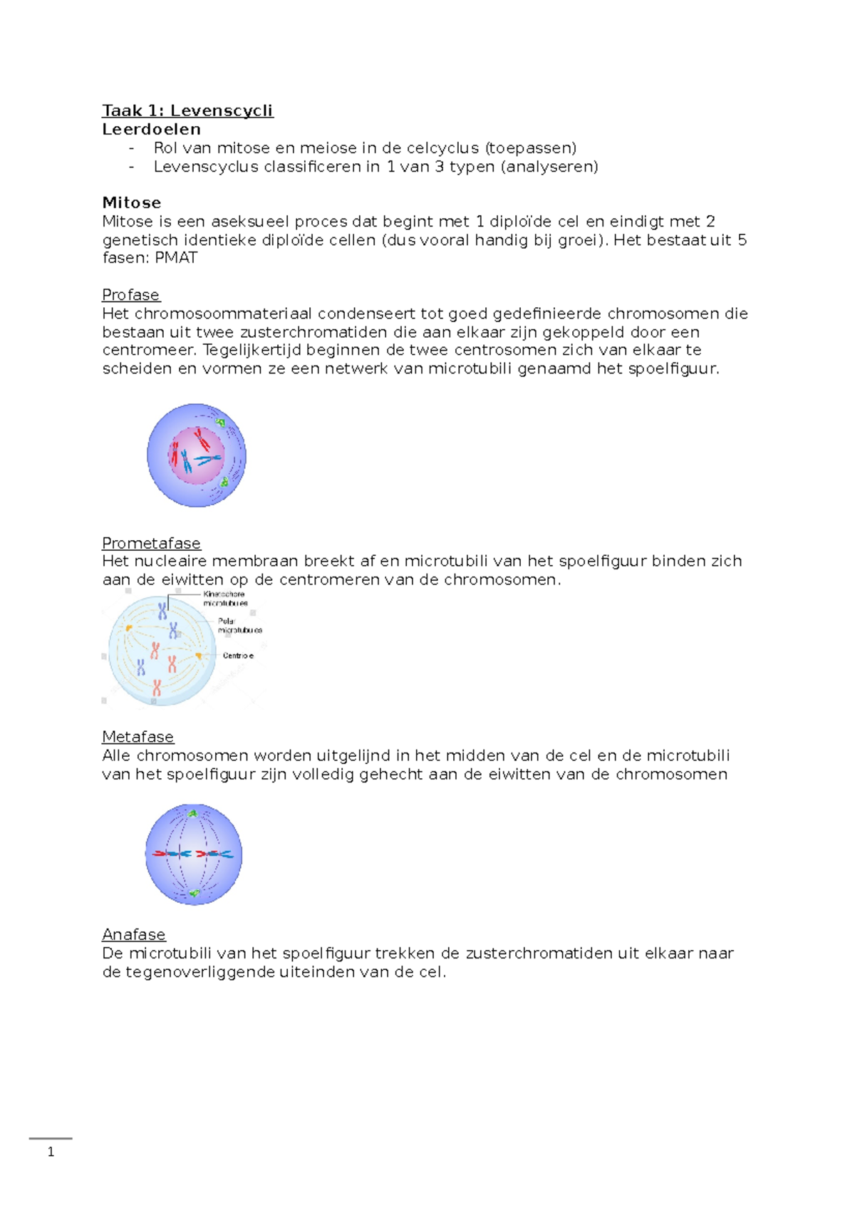 Samenvatting leerstof Biologie Blok 3: Levenscycli & Fotosynthese - Studeersnel