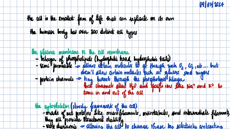 Module 1 Review Notes - MBS 604: Cell Structure & Function - Studocu