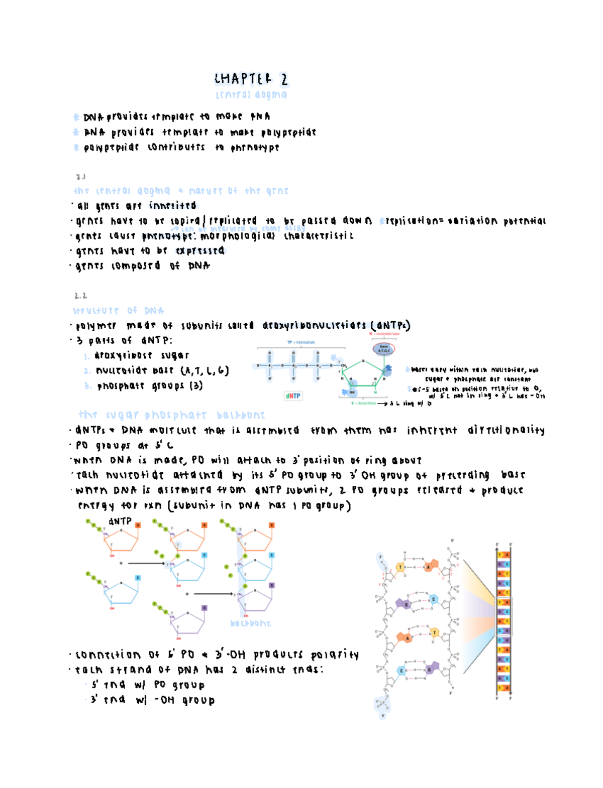 Ch 2 - Ch 2 book notes - customized (condensed) version of Genetics ...