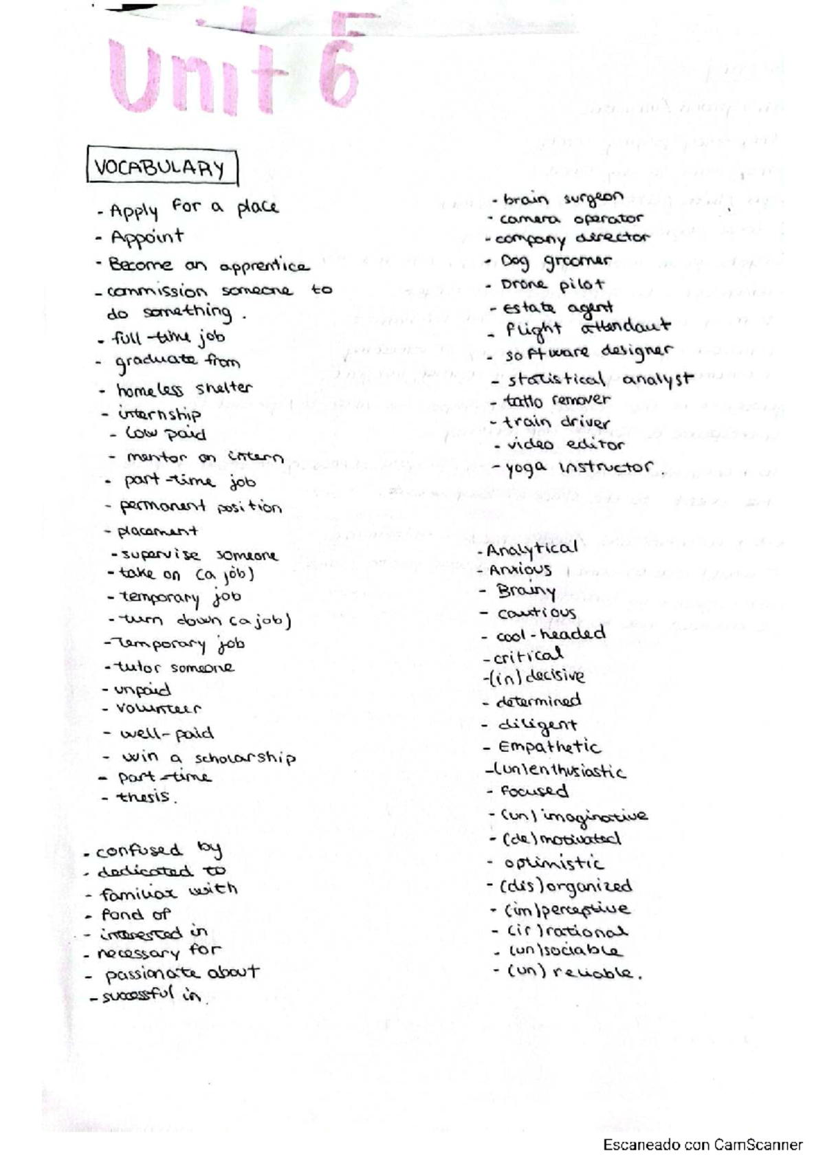 Tema 6: Vocabulary notes for English - Job roles and skills - Studocu