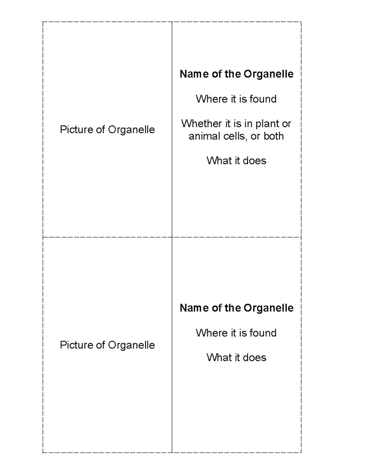 Organelle trading card template - 121N - Picture of Organelle Name of ...