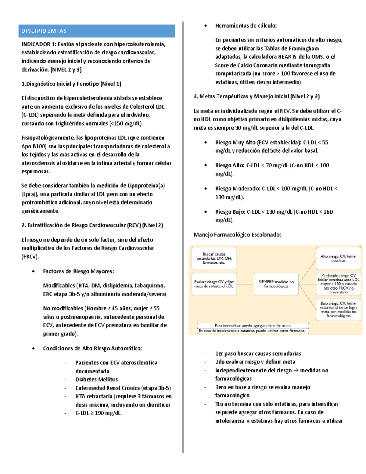 Dislipidemias: Estrategias de Manejo y Evaluación de Riesgo (NIVEL 2 y ...