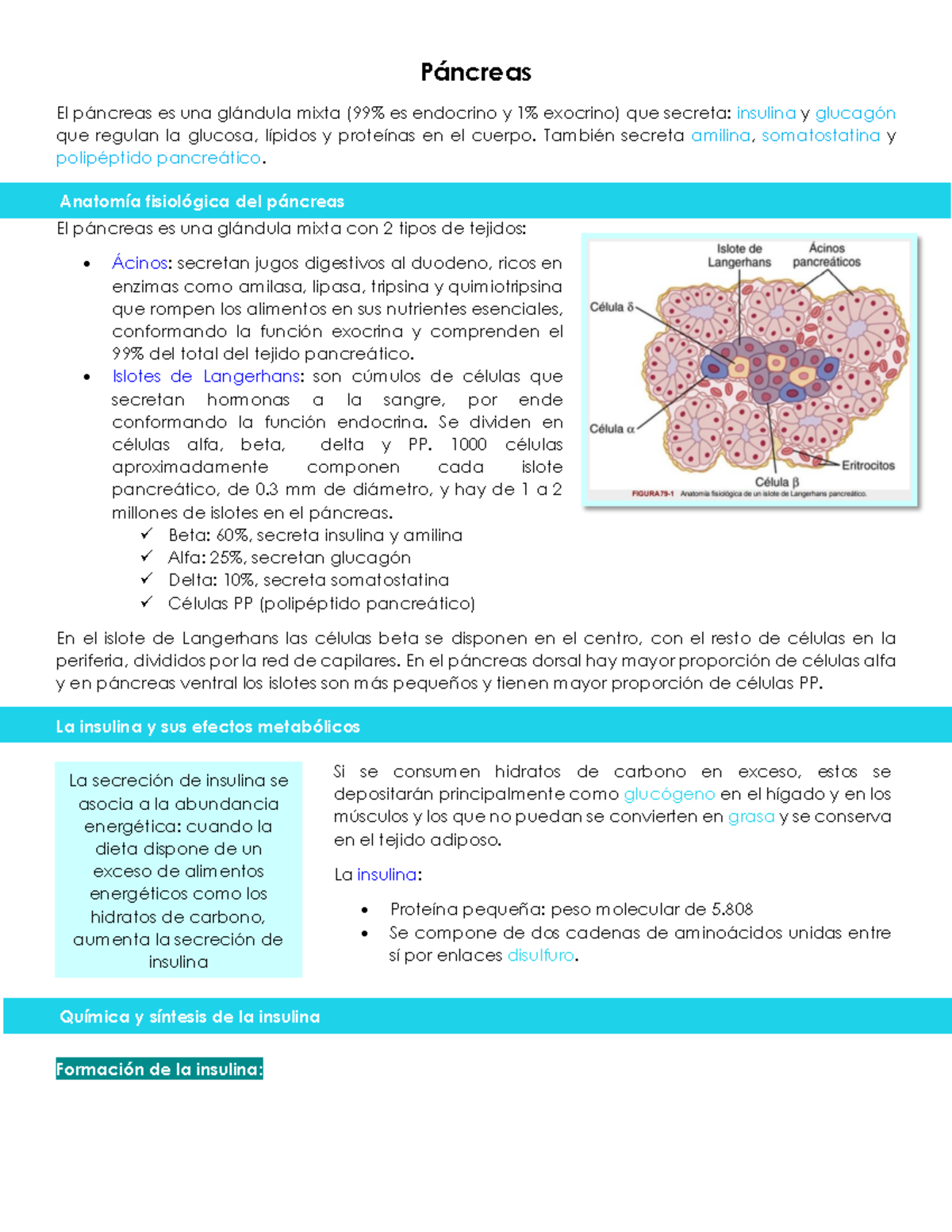 Pancreas resumen mixto - P·ncreas El p·ncreas es una gl·ndula mixta (99 ...