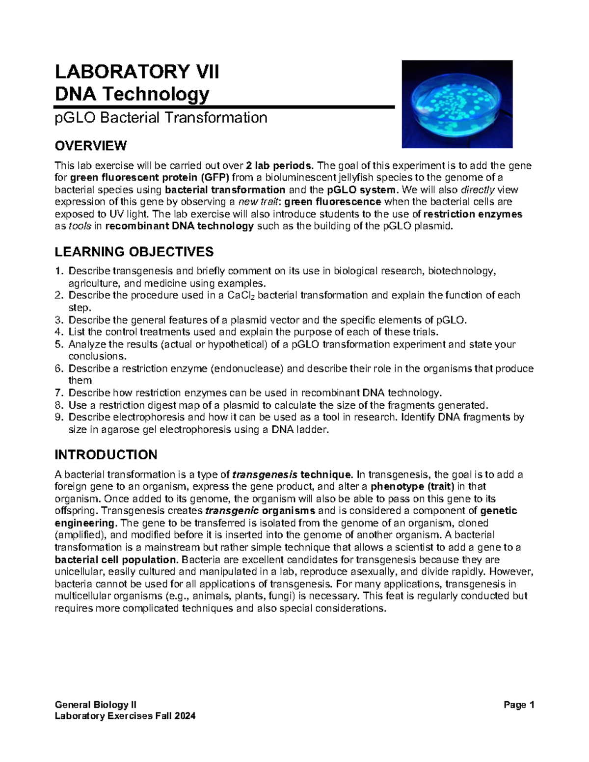 Laboratory VII: DNA Technology and pGLO Bacterial Transformation (Gen ...