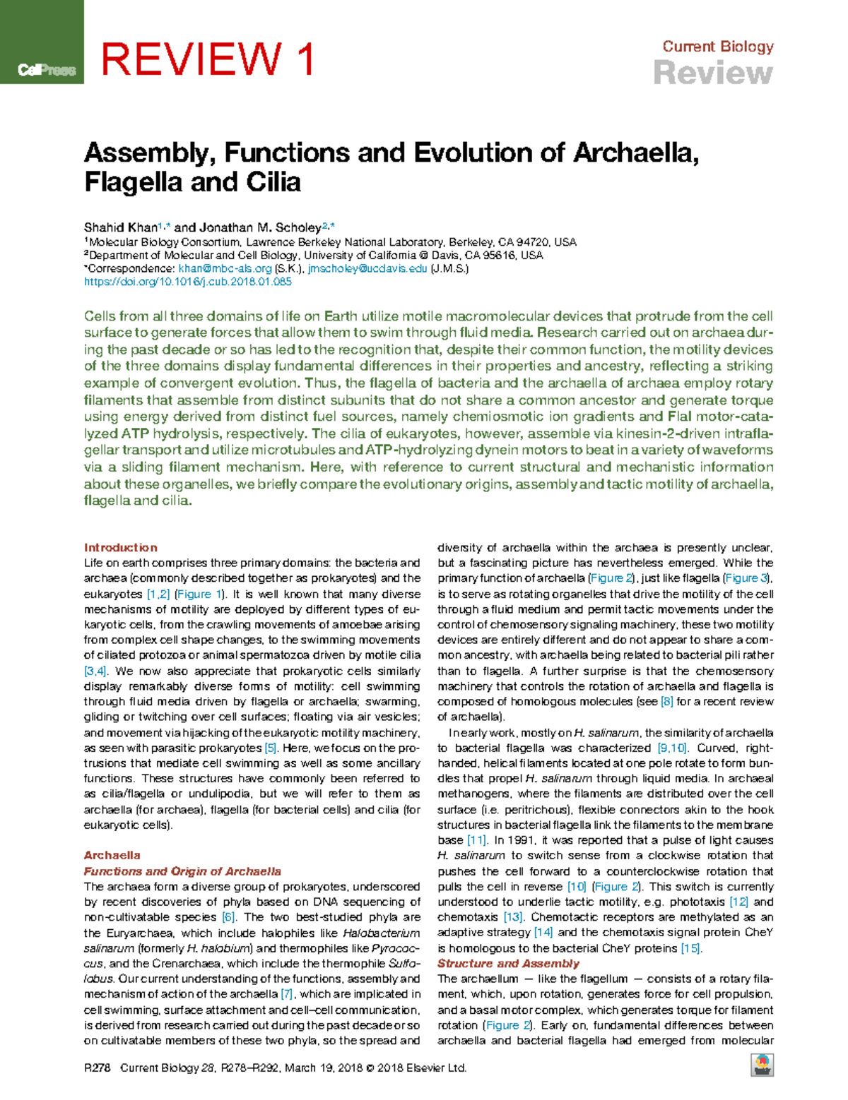 Assembly, Function, and Evolution of Archaella, Flagella, and Cilia - Review Assembly, Functions ...