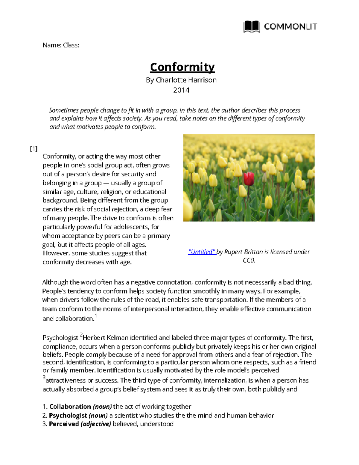 Conformity: Understanding Its Nature and Impact on Society - Studocu