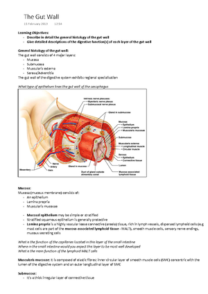 [Solved] functions of the digestive system - Intermediate Human ...