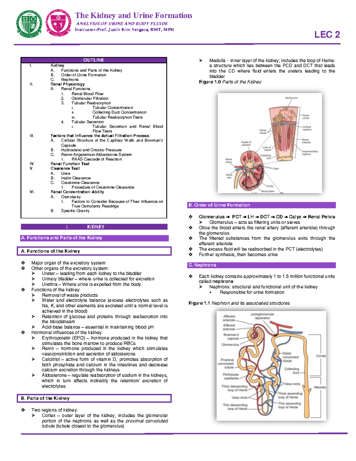 AUB F LEC Trans 2 - lecture - OUTLINE I. Kidney A. Functions and Parts ...