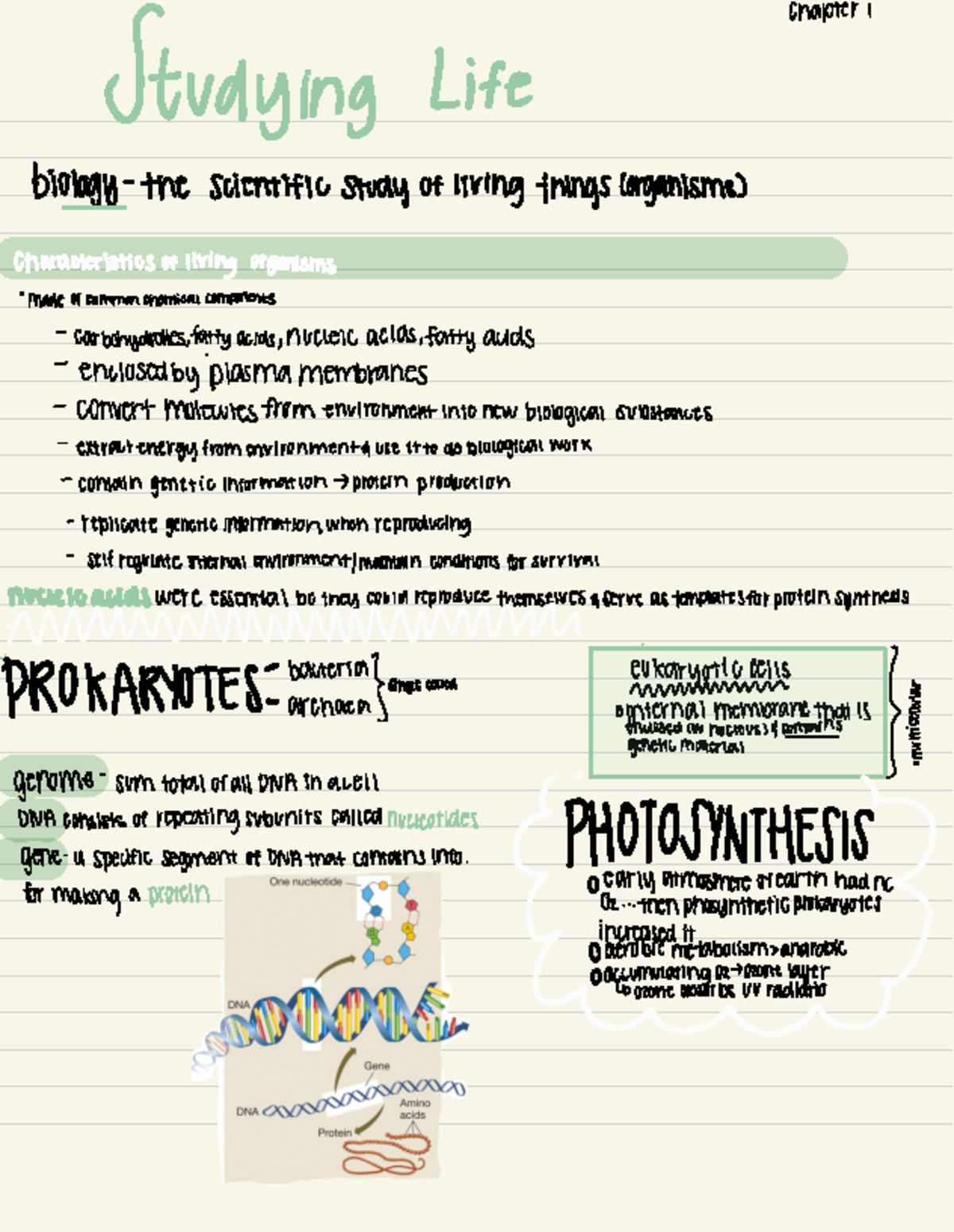 Chapter 1- Studying Life - Chapter 1 Studying Life biology the ...