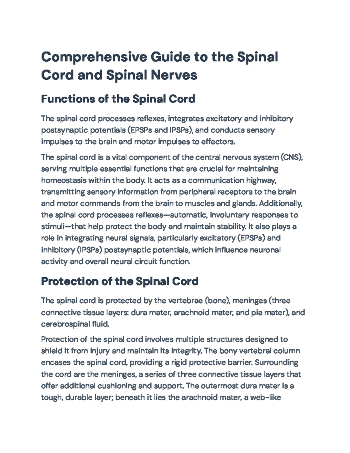 Comprehensive Overview of Spinal Cord & Nerves Functions (BIOL 101 ...