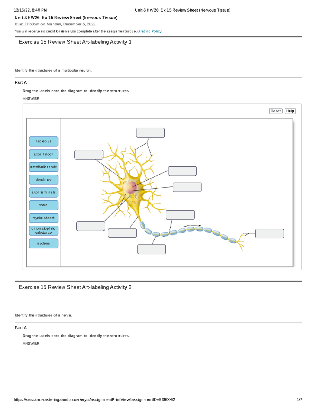 Unit 8 HW26 Ex 15 Review Sheet (Nervous Tissue) - Unit 8 HW26: Ex 15 ...