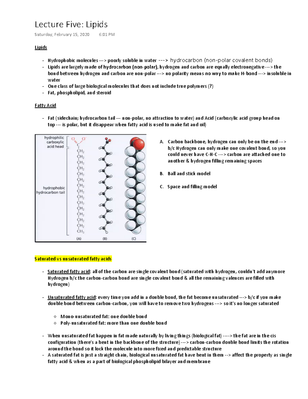 BIO 202 LECTURE 5 SELF NOTE - Lecture Five: Lipids Saturday, February ...