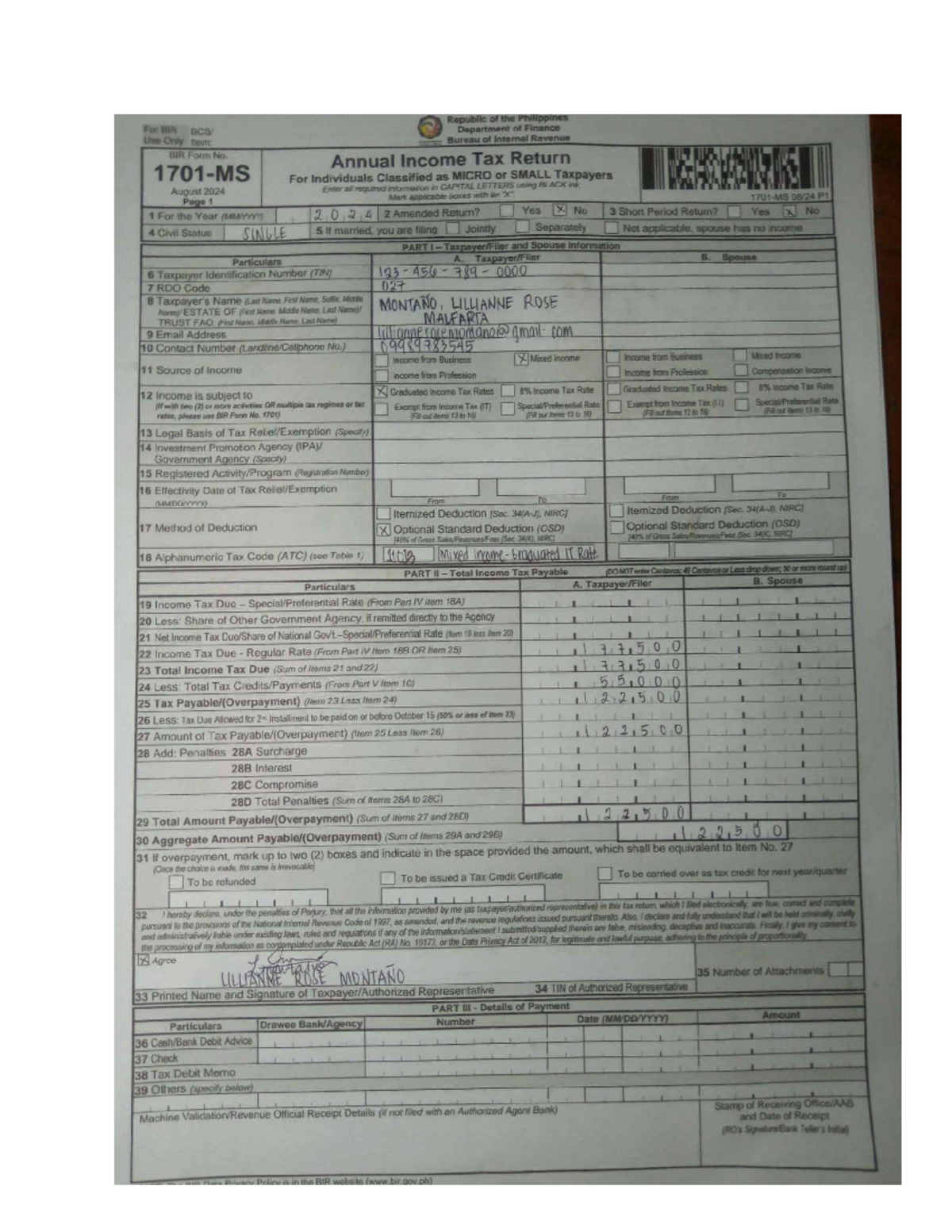BIR Form No. 1701: Annual Income Tax Return for Micro/Small Taxpayers ...