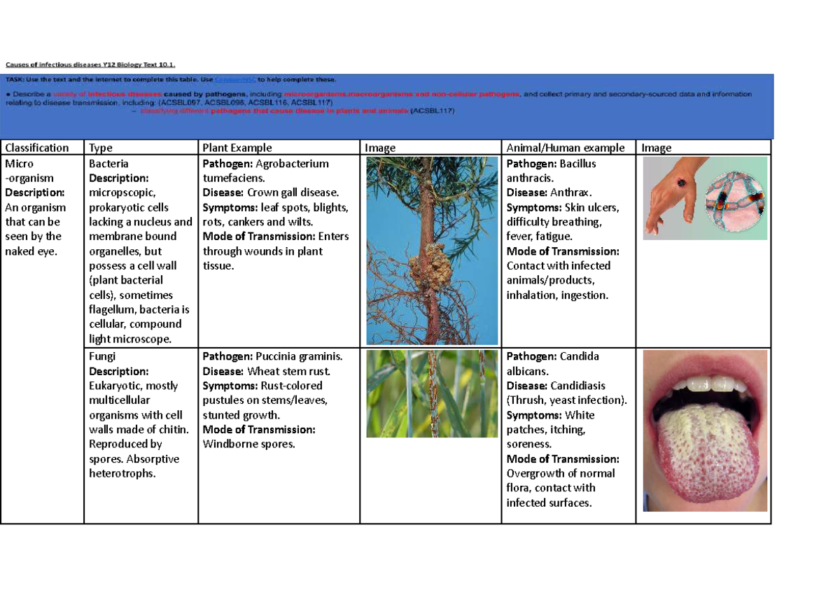 Pathogens Classification Table: Bacteria, Fungi, Macro & Parasites ...