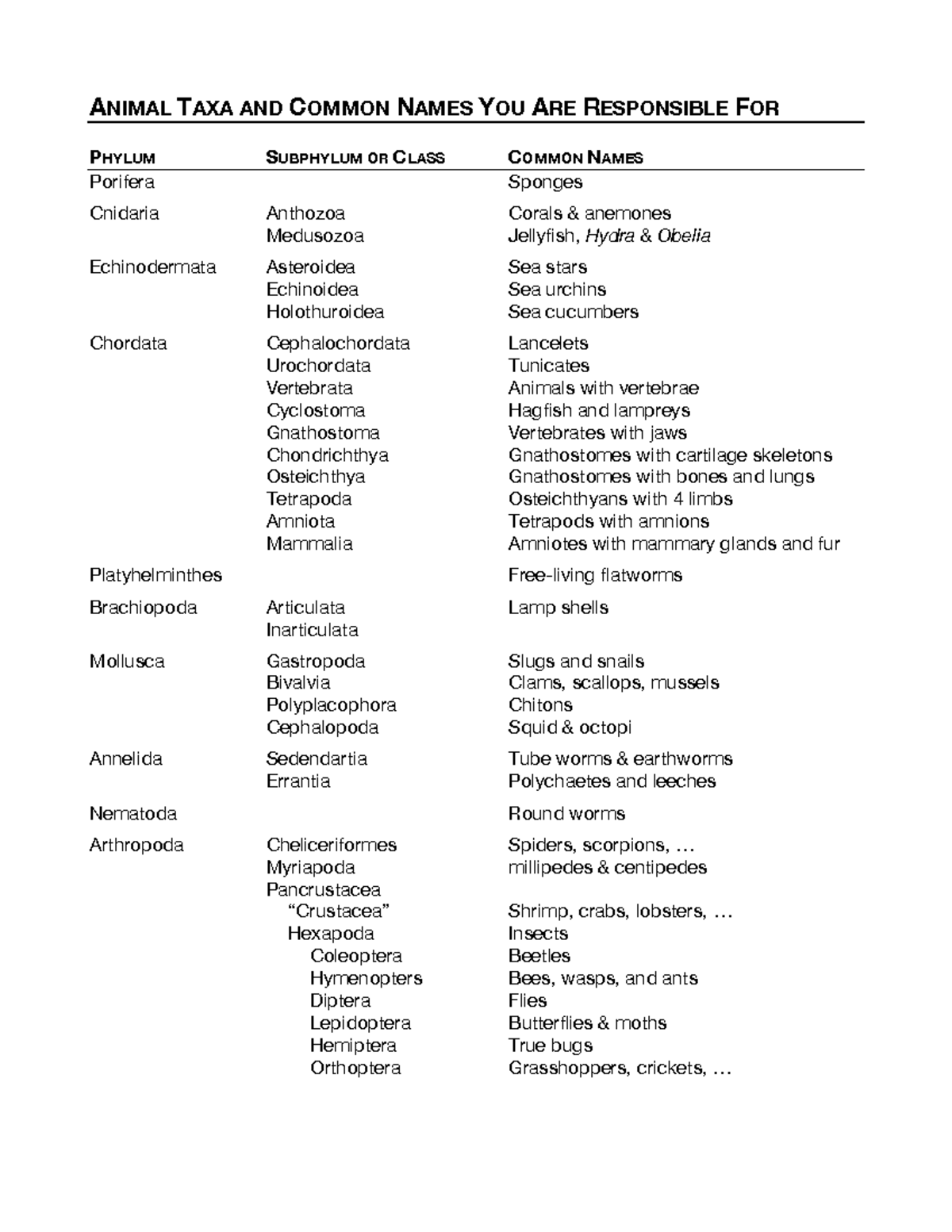Animal Taxa and Common Names You Are Responsible For - ANIMAL TAXA AND ...