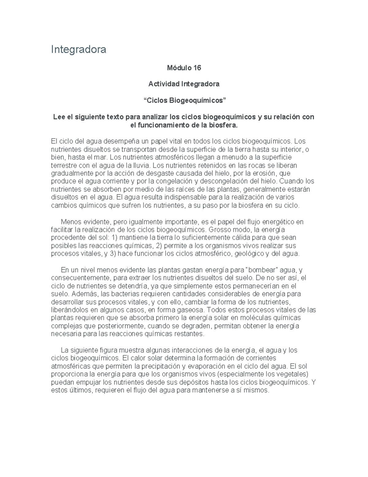 Actividad Integradora NM16: Análisis de Ciclos Biogeoquímicos - Studocu