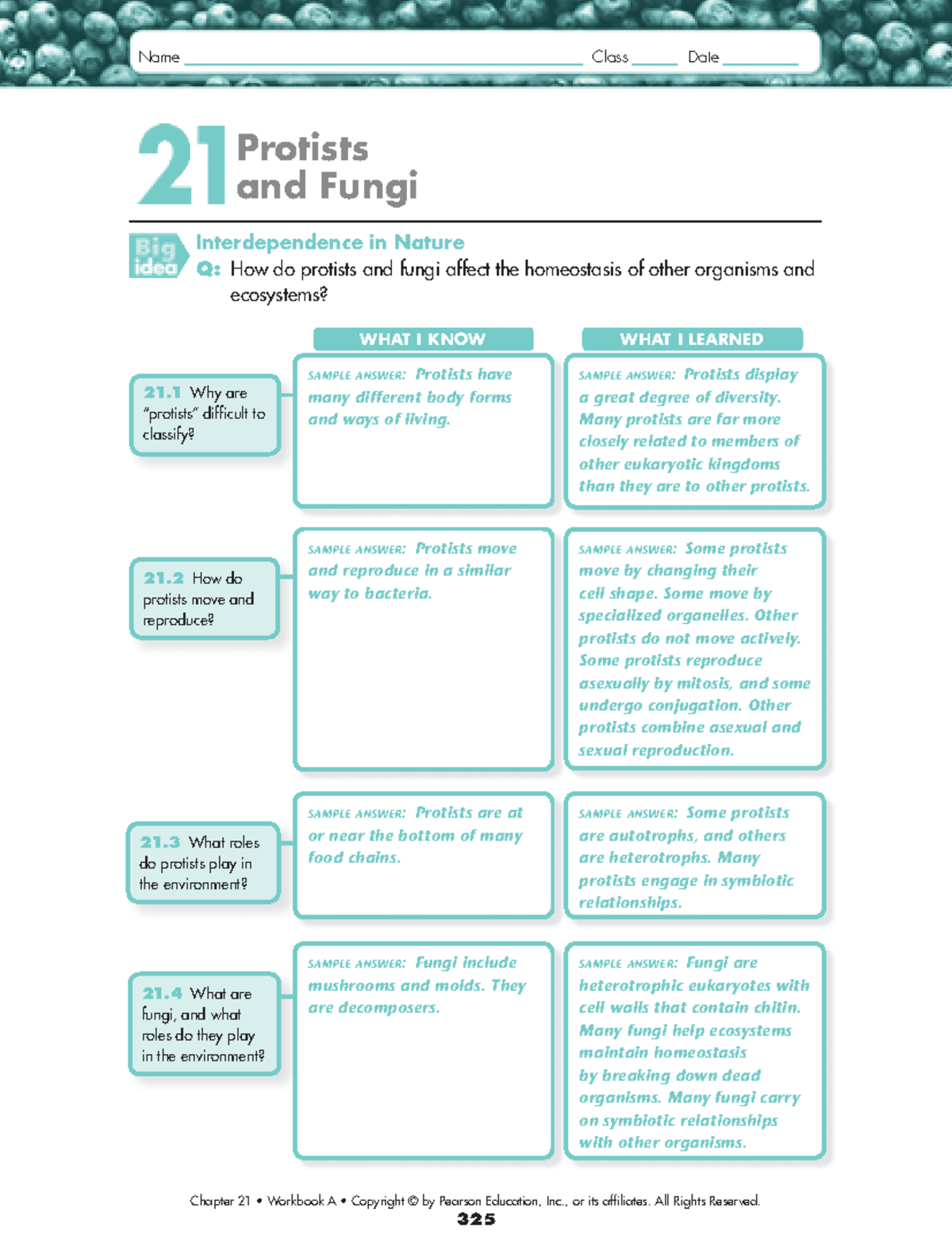 Nanopdf - Chapter 21 Protists and Fungi Answer Key - Chapter 21 ...