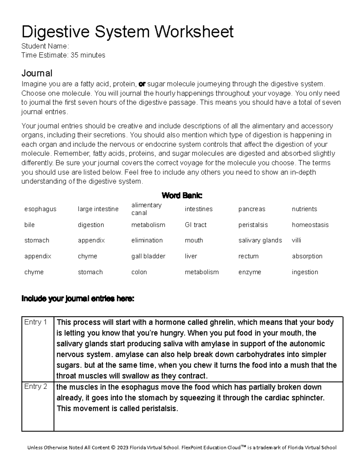 5.04 Digestive System Worksheet: A Creative Journey Through Digestion ...