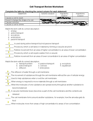 Biology 1 - Organelles in Eukaryotic Cells Activity KEY - Organelles in ...