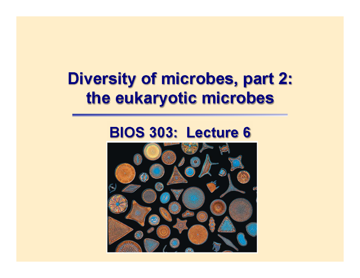 Diversity of Eukaryotic Microbes: Fungi and Protozoa Overview - BIOS ...