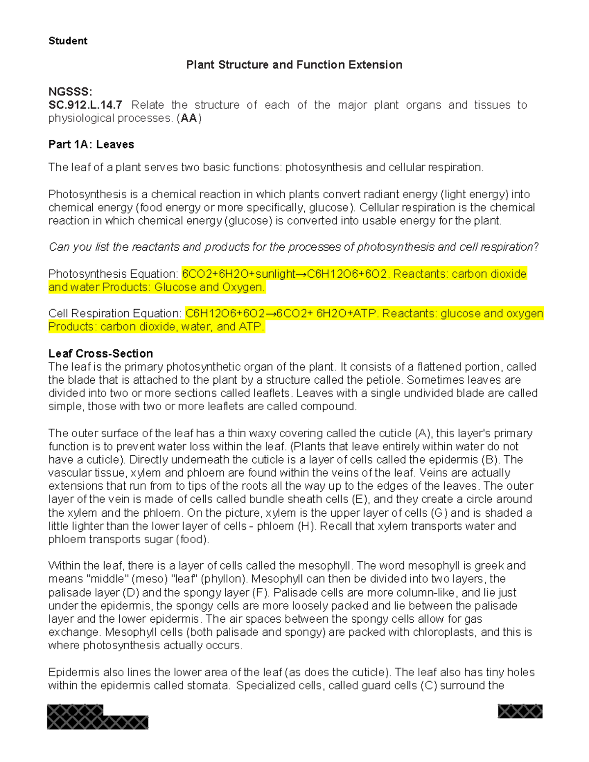 Plant Structure and Function Ext Lab adapt copy - Plant Structure and Function Extension NGSSS ...
