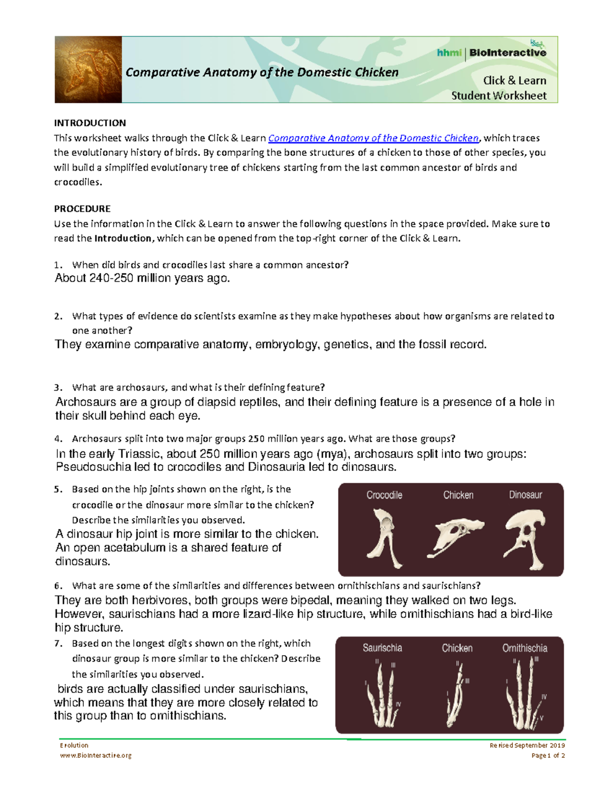 Comparative Anatomy of Chickens: Student Worksheet (Evolution) - Studocu