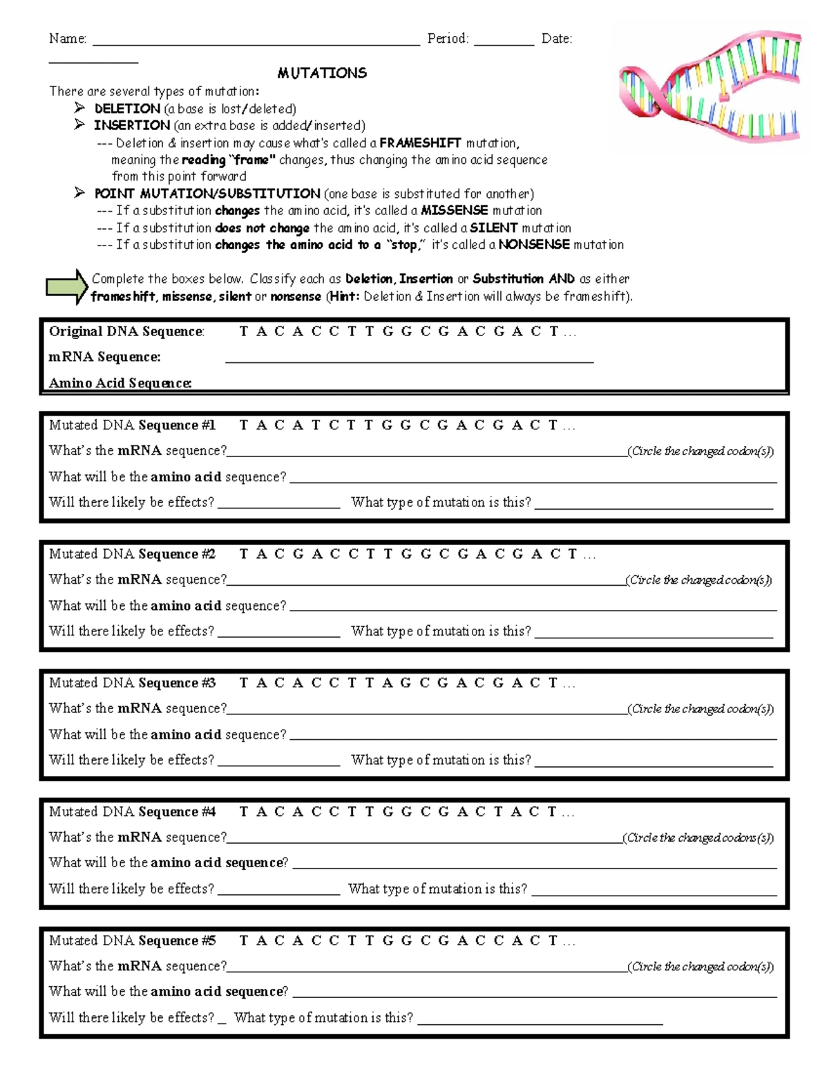 Mutations Worksheet - Types, Effects & Identifications - Studocu