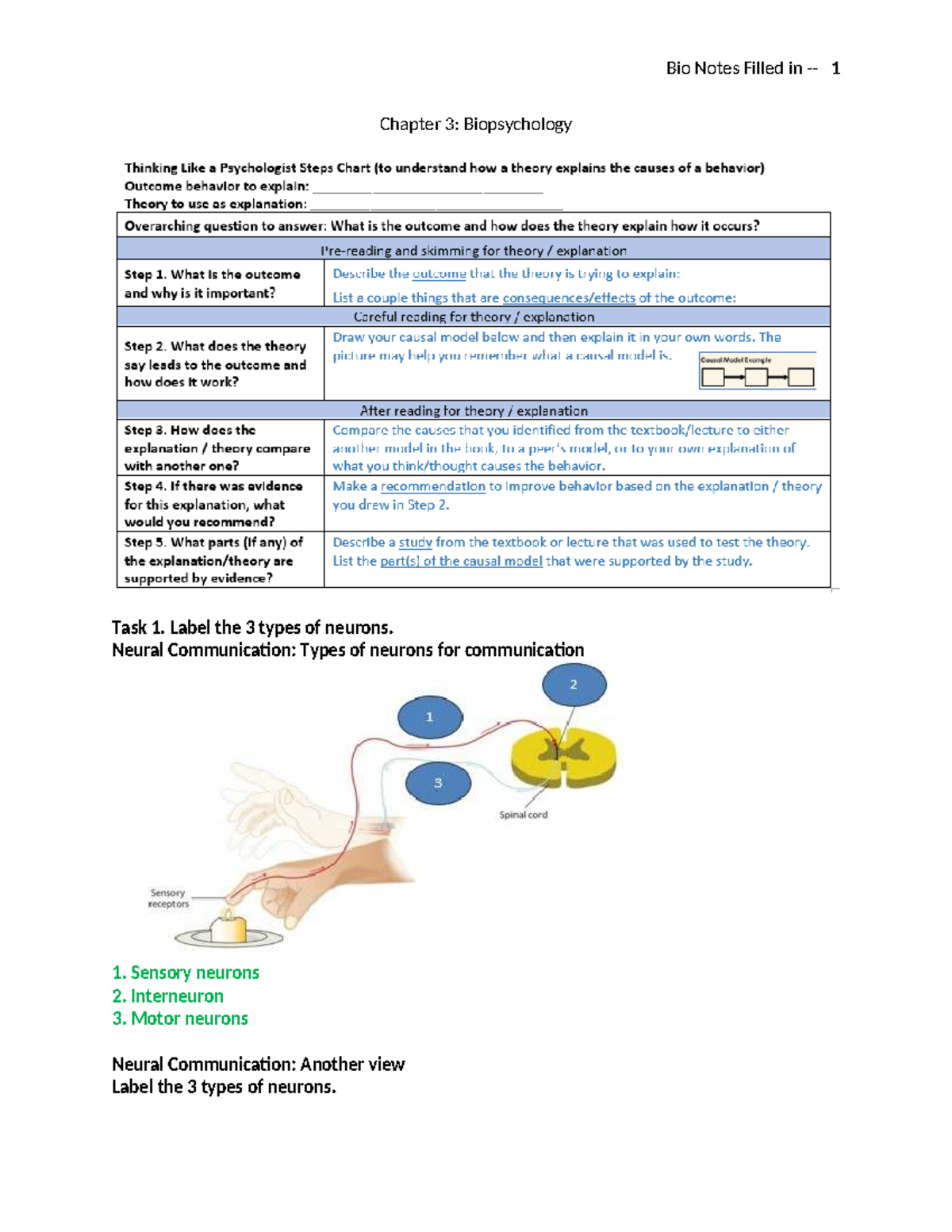 Neural Communication & Neurotransmitter Functions Study Guide (Bio ICT 5) - Studocu