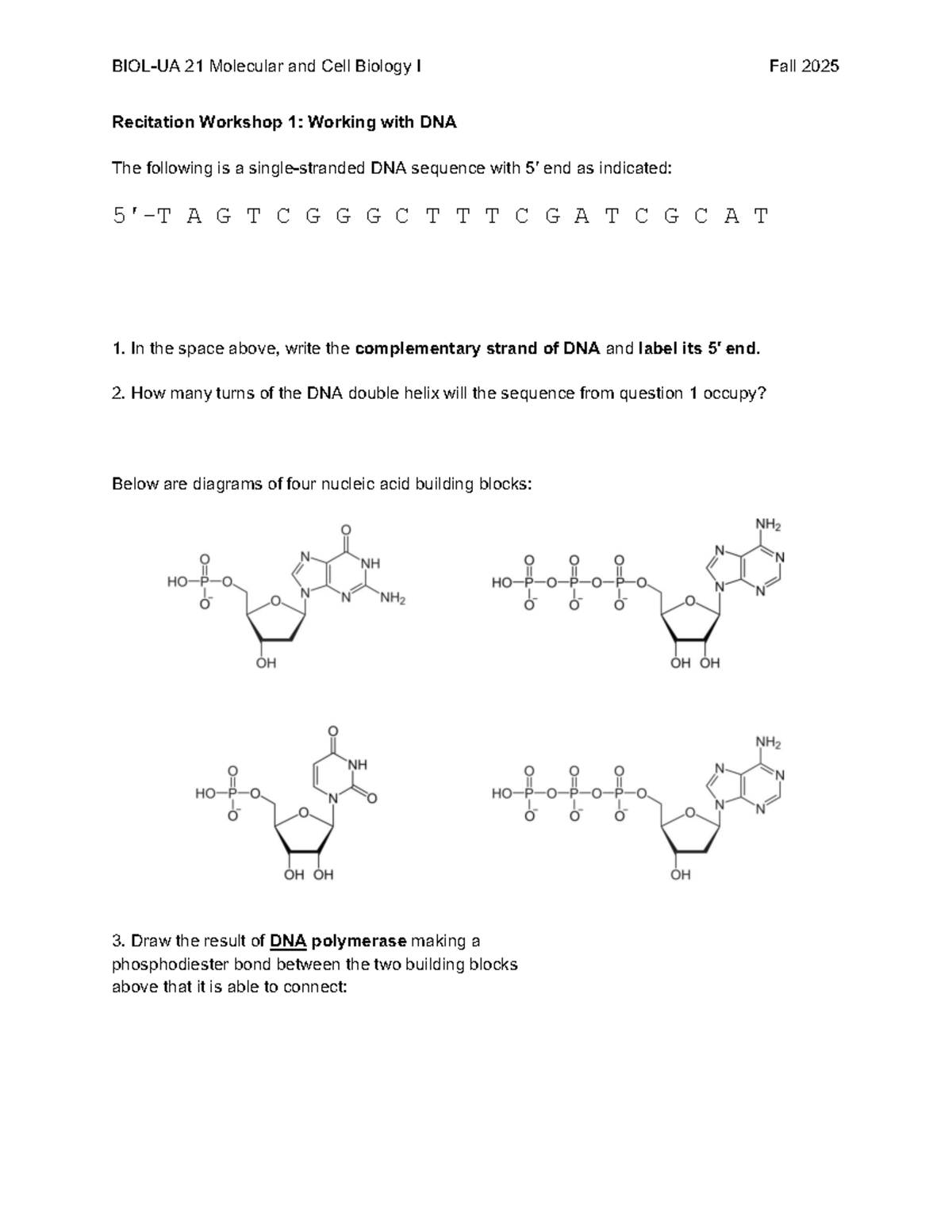 MCB1 2025 Recitation Workshop 1: DNA Analysis and AZT Discussion - Studocu