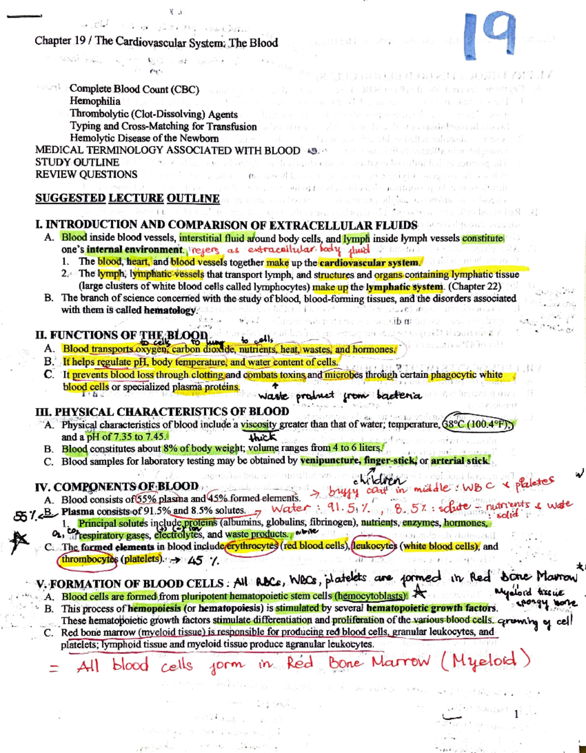 Chap 19 - Cardiovascular System: Blood BIOL 2402 Professor Adams ...