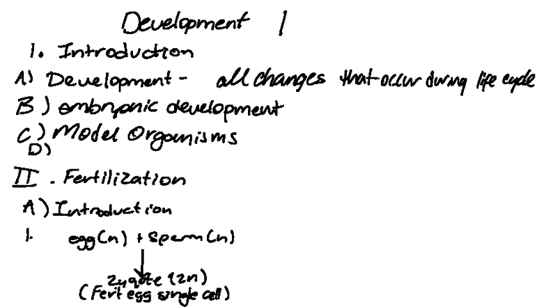 Development of Organisms: Fertilization and Embryonic Stages (Bio 101 ...