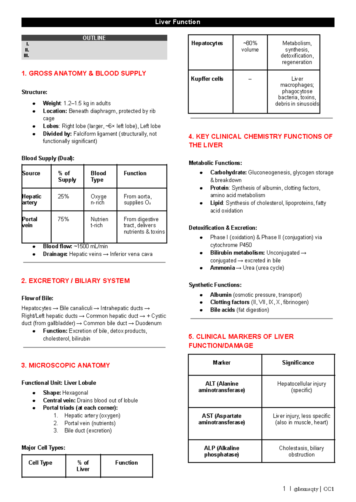 Liver Function Overview: Key Concepts and Clinical Insights (I CC1 ...