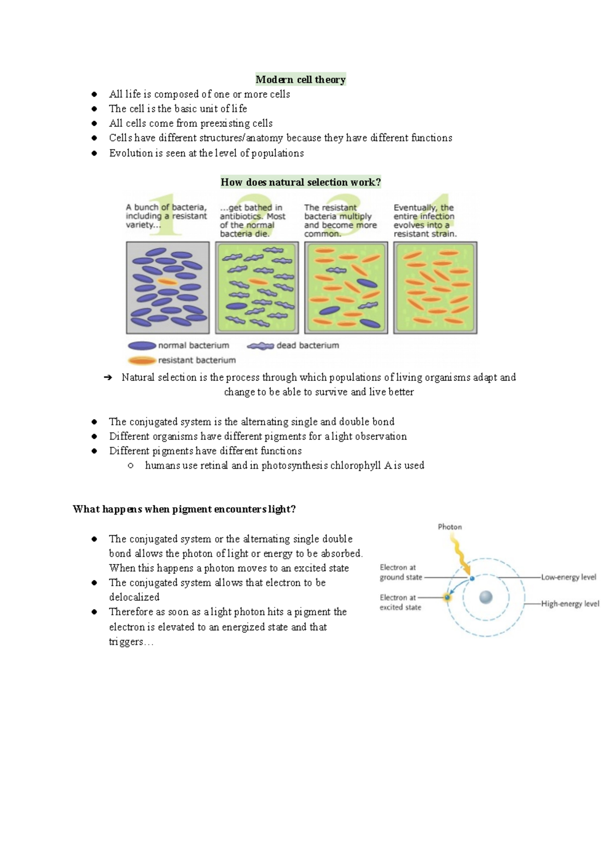 MY test 1 notes - includes contents of modern cell theory, intro to ...