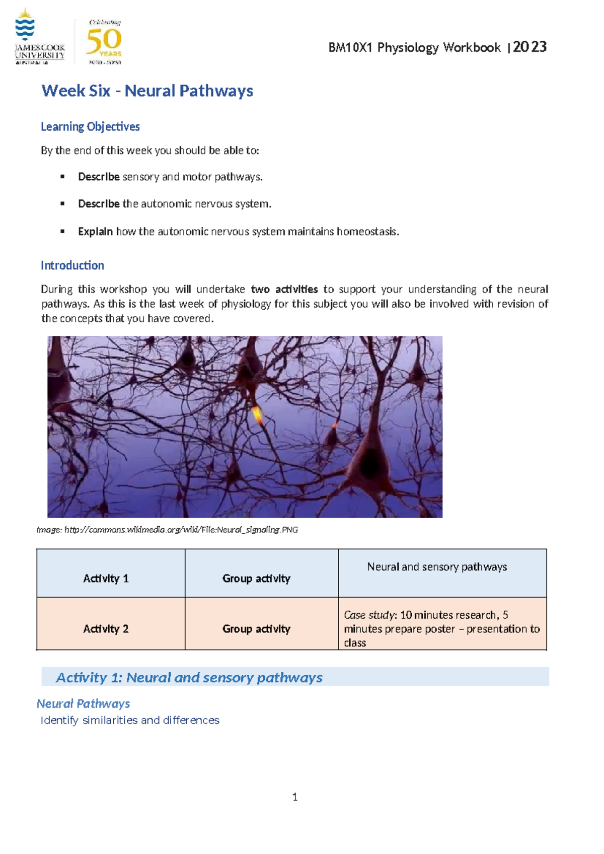 2023 🏼Workshop Worksheet Neural Pathways - Week Six - Neural Pathways ...