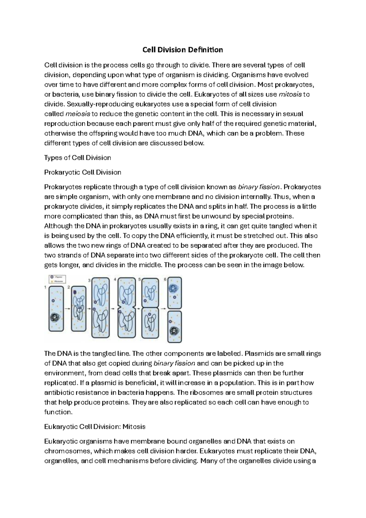 Cell Division Notes (BIO101): Mitosis & Meiosis Processes Explained ...