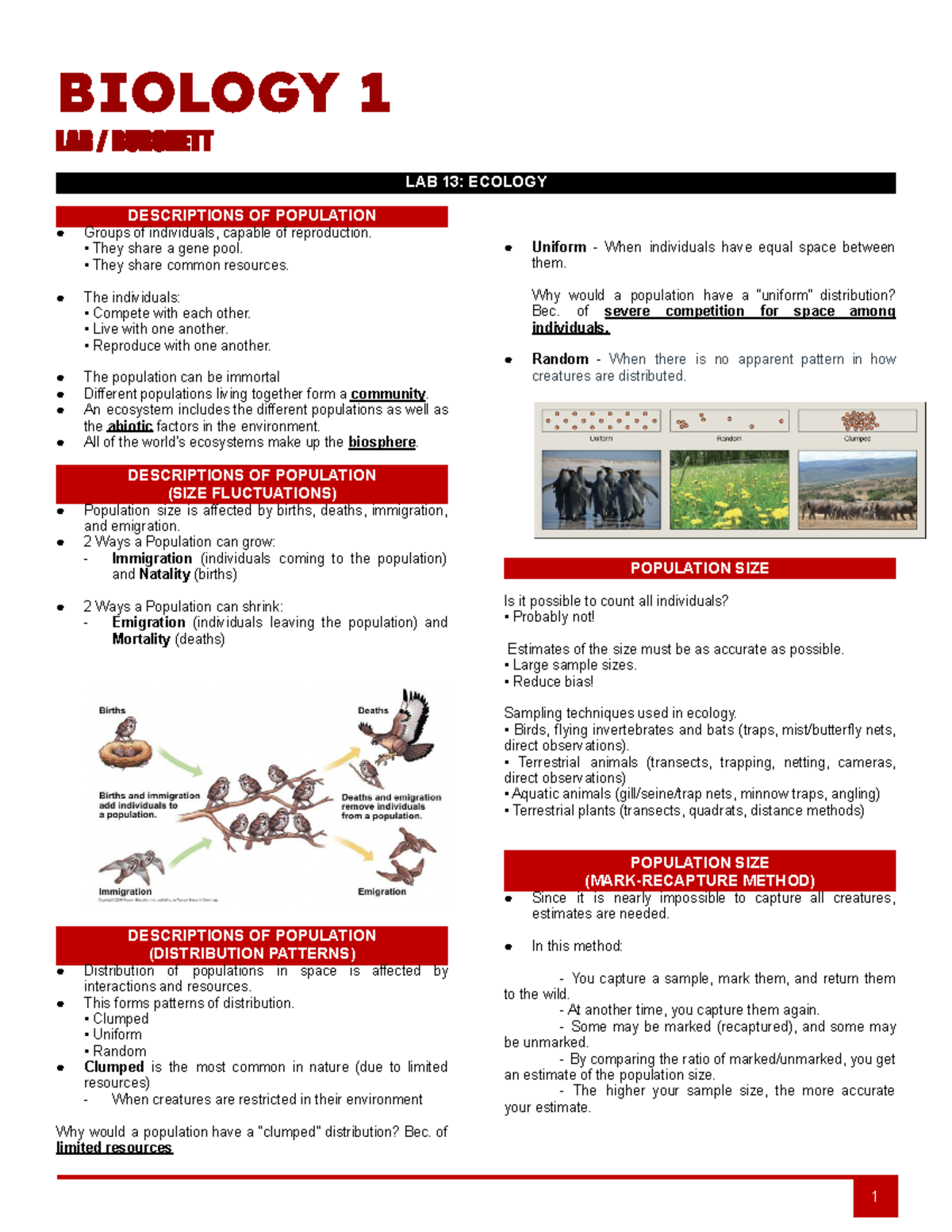 BIO1 LAB 13 - Ecology: Population Dynamics and Community Interactions ...