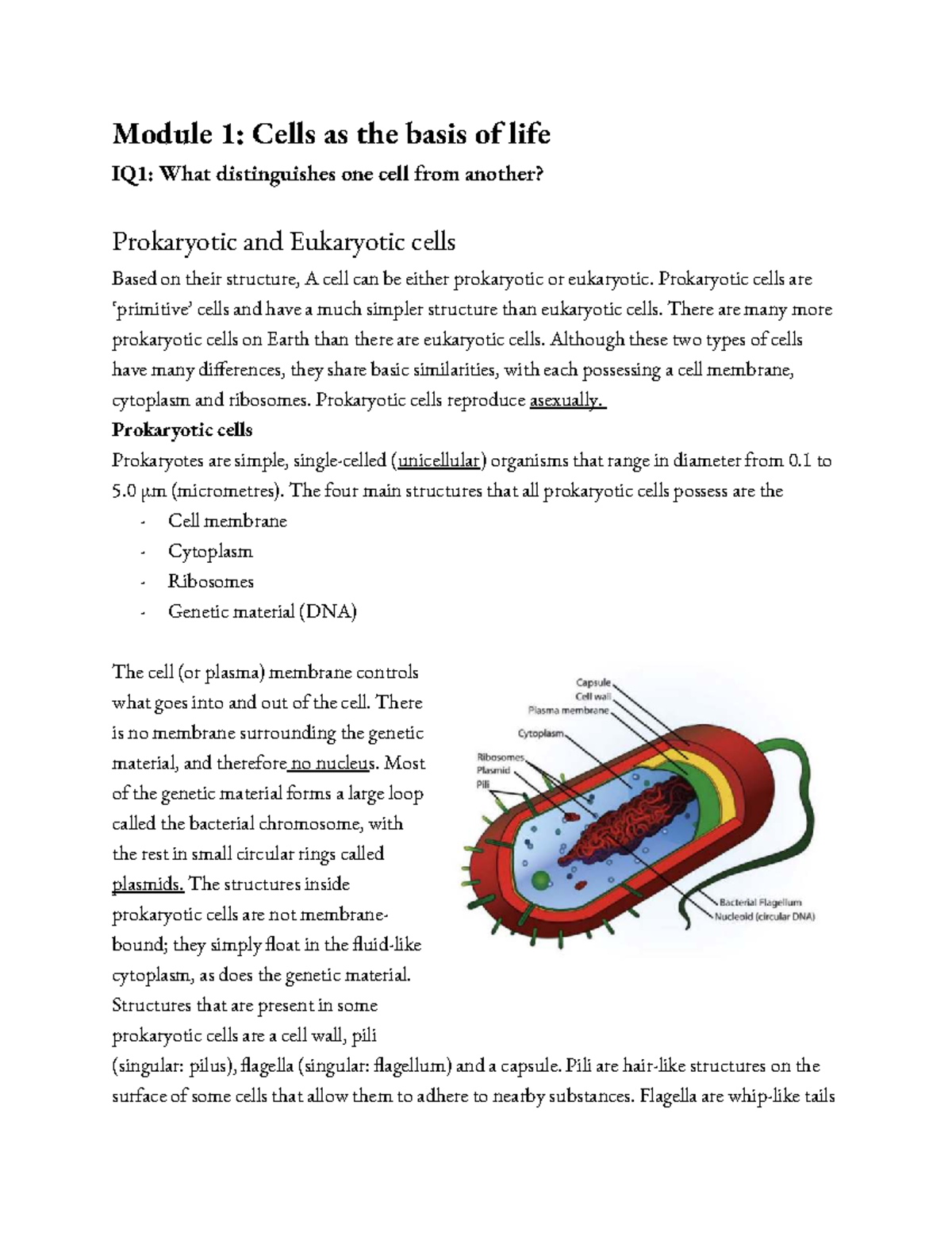 BIO Module 1: Understanding Prokaryotic and Eukaryotic Cells - Studocu