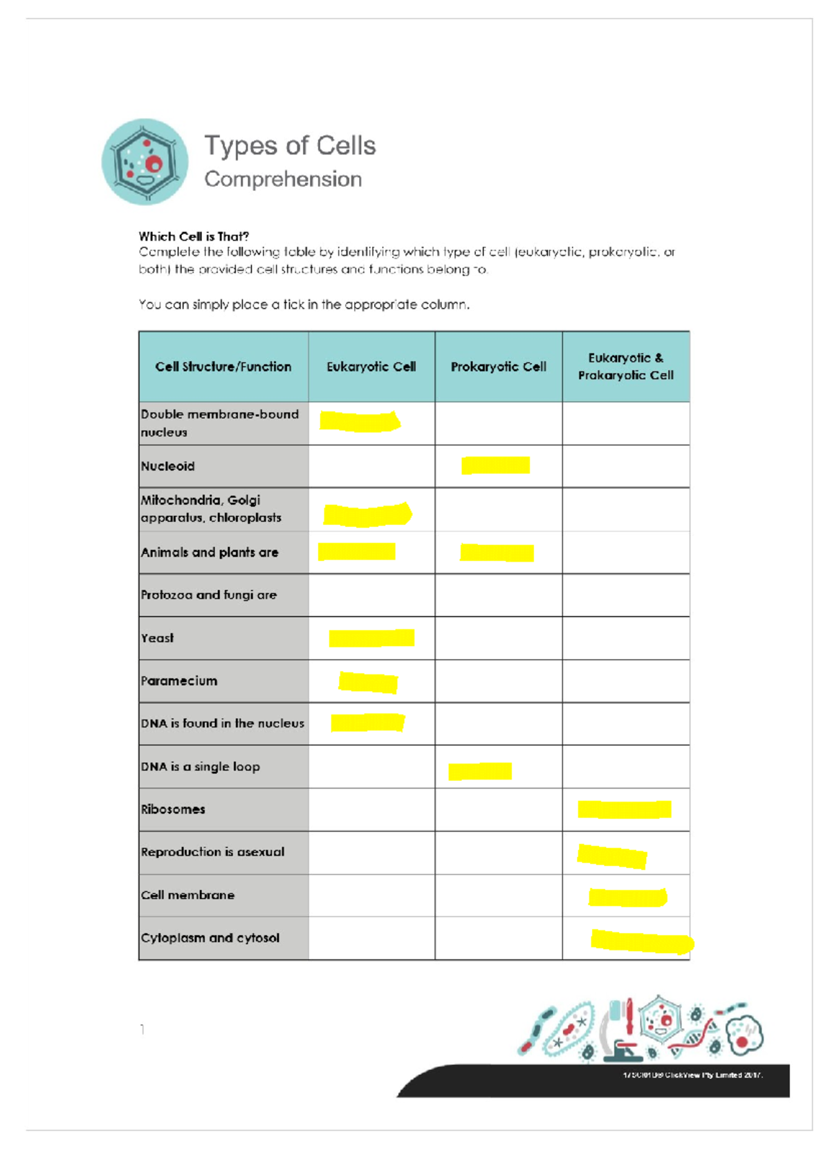 Types of Cells Comparison Worksheet: Eukaryotic vs Prokaryotic - Studocu