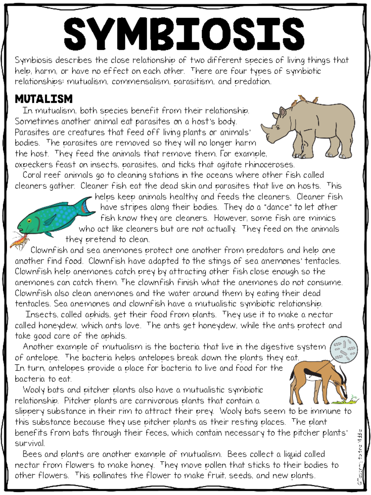 Symbiotic Relationships: Reading Comprehension Worksheet (Bio 101 ...