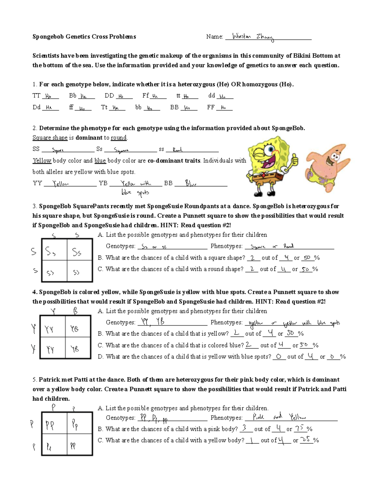 Spongebob Genetics Cross Problems 2: Genotype & Punnett Square Analysis ...