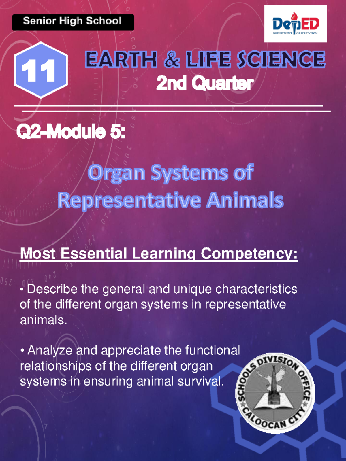Organ System Of Representative Animals