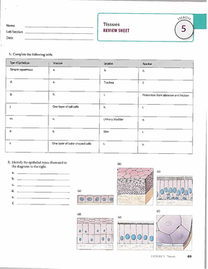 Chapter 1 - NOTES - ANATOMY AND PHYSIOLOGY Chapter 1: I. Anatomy a. The ...